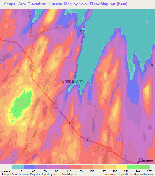 Elevation of Chapel Arm,Canada Elevation Map, Topography, Contour