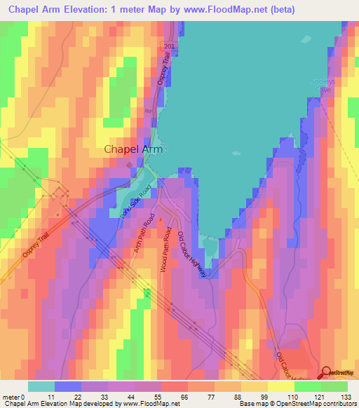 Elevation of Chapel Arm,Canada Elevation Map, Topography, Contour