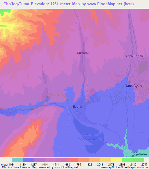 Elevation of Cho`loq-Tuma,Kyrgyzstan Elevation Map, Topography, Contour